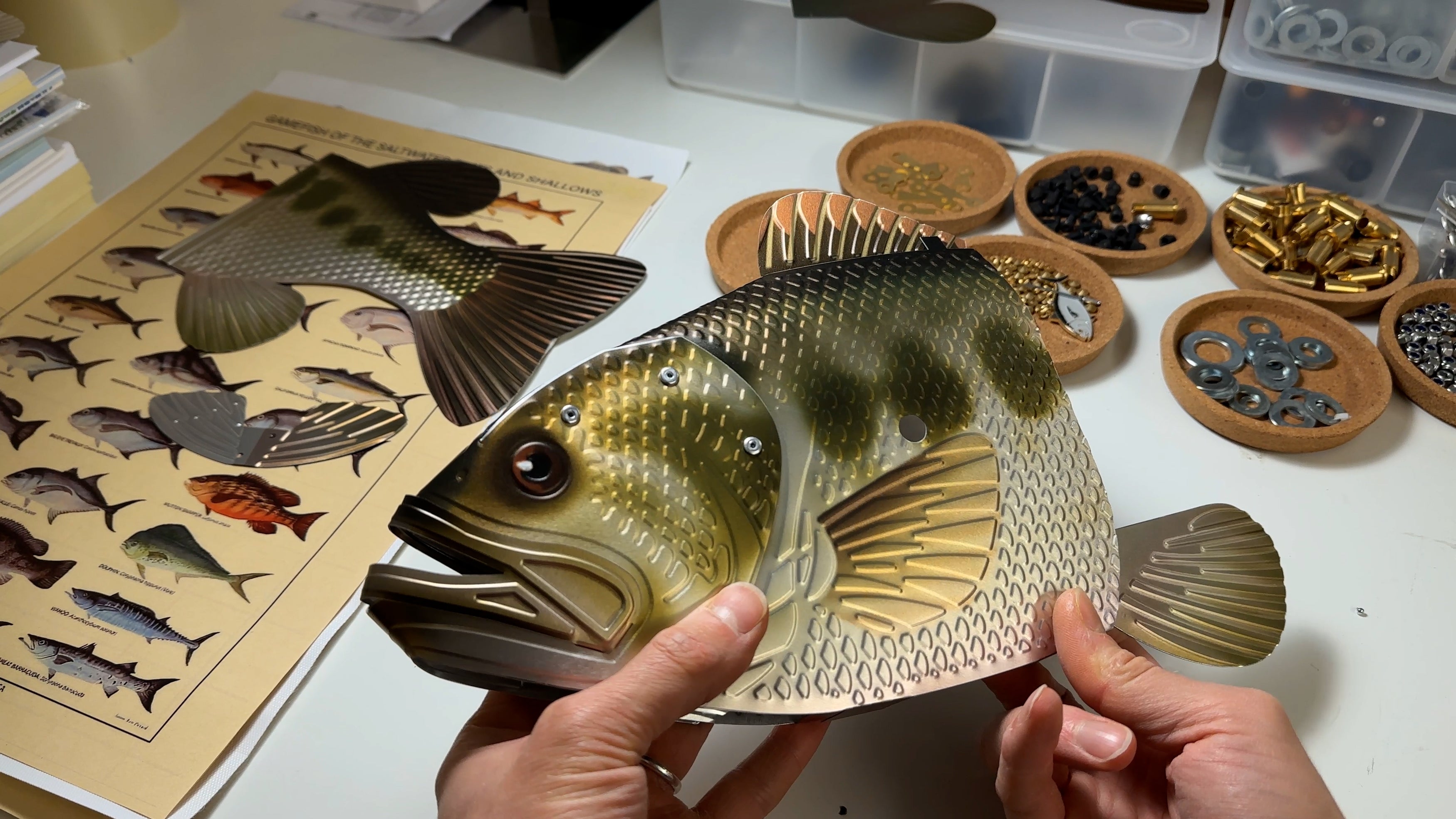 Bonito: tail-swinging clocks and wall art for fish enthusiasts!